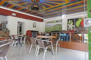 Alfredo Café en Barcelona, Quindío. Eje Cafetero Turismo