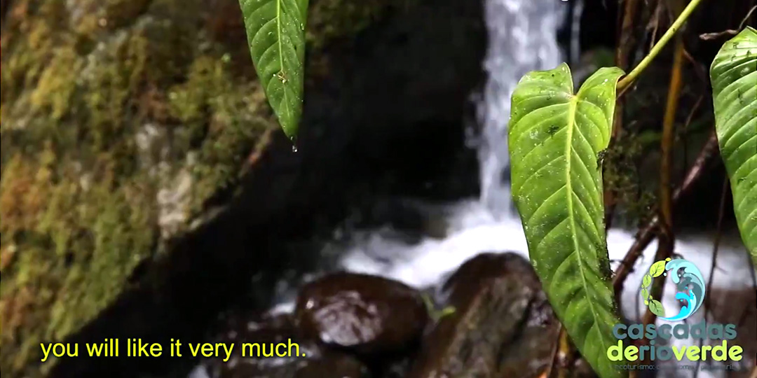 Cascadas del Rio Verde - Eje Cafetero Turismo