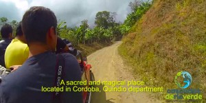 Cascadas del Rio Verde - Eje Cafetero Turismo